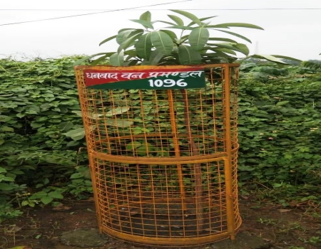 Dhanbad Forest Division | Dhanbad Jharkhand