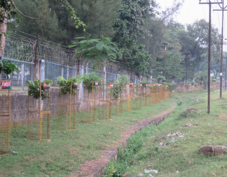 Dhanbad Forest Division | Dhanbad Jharkhand