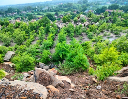 Dhanbad Forest Division | Dhanbad Jharkhand